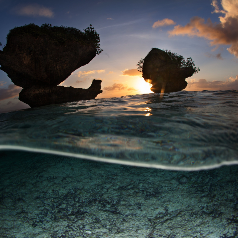 Resources - The House of Chamorros